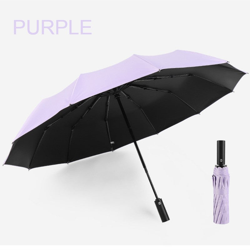 12-Rib Rain/UV Folding Umbrella, with Auto Open Close & Windproof Cano ...